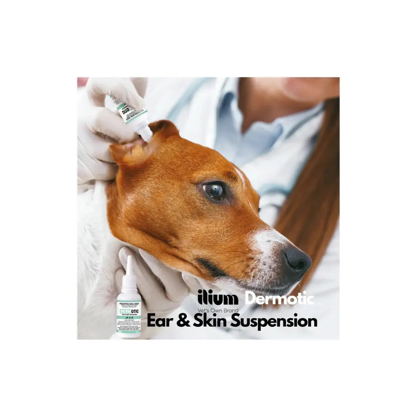 Ilium Dermotic Ear and Skin Suspension - Intervetclinic