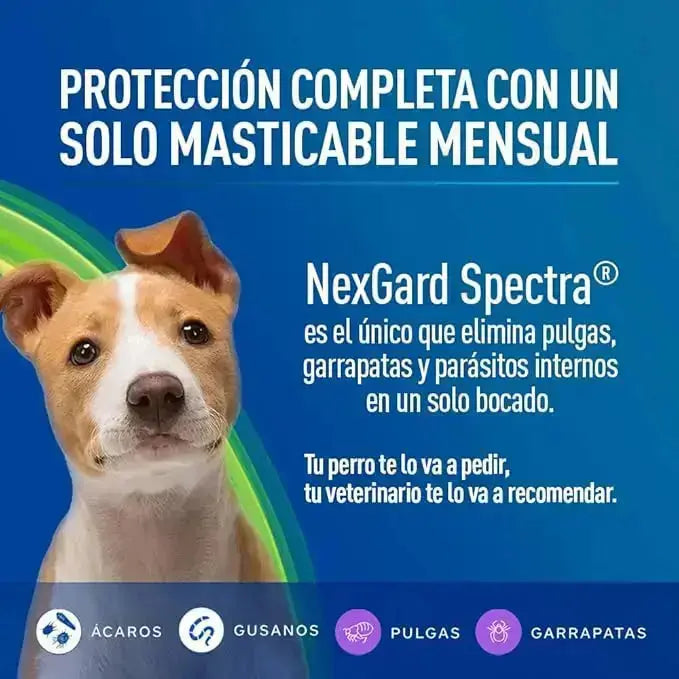 NEXGARD SPECTRA ANTIPARASITIC & DEWORMING CHEWS FOR SMALL DOG 2-3.5KG